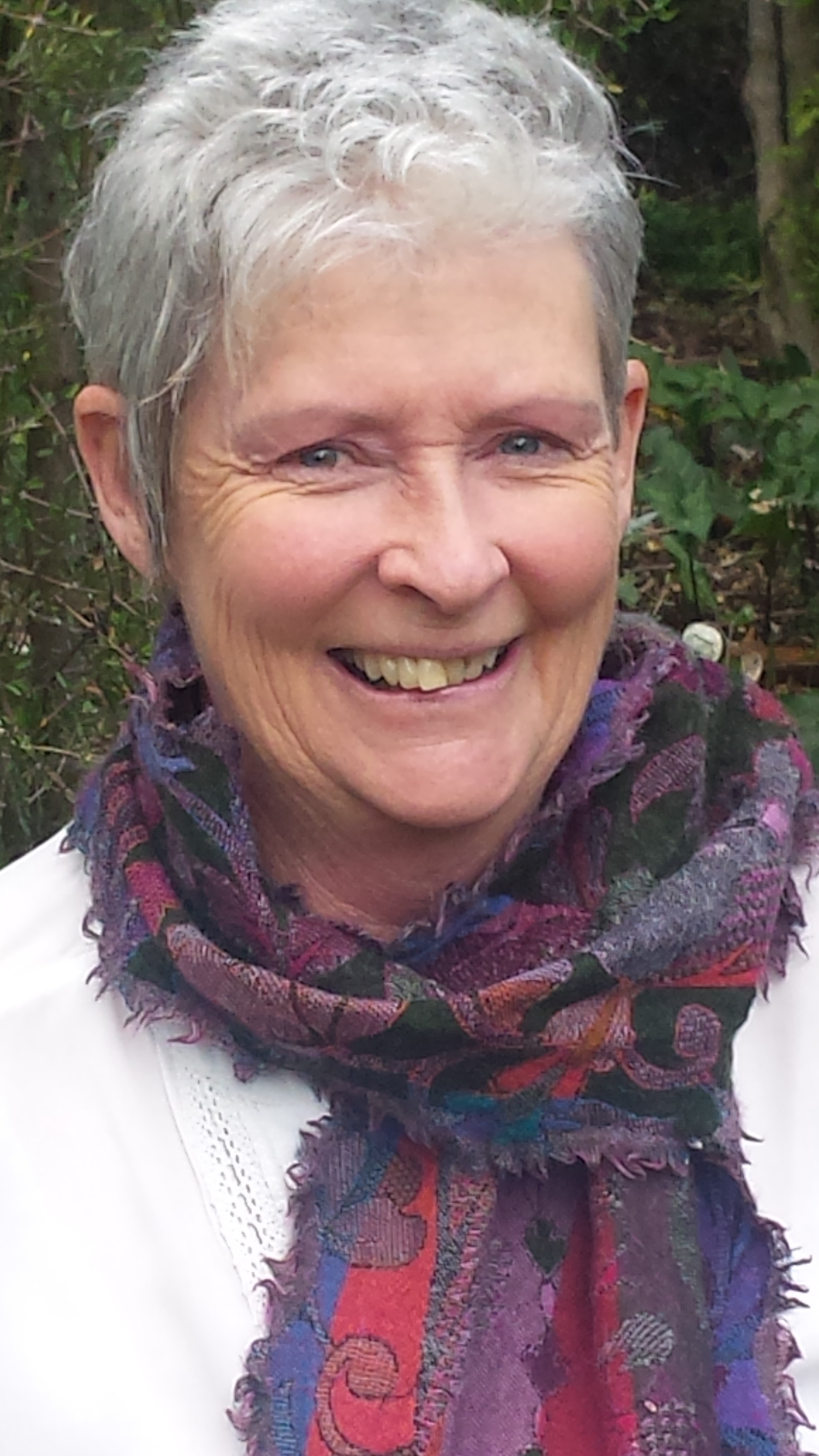 New Signing: The Ginomees Trilogy by Ali Foster – IFWG Publishing